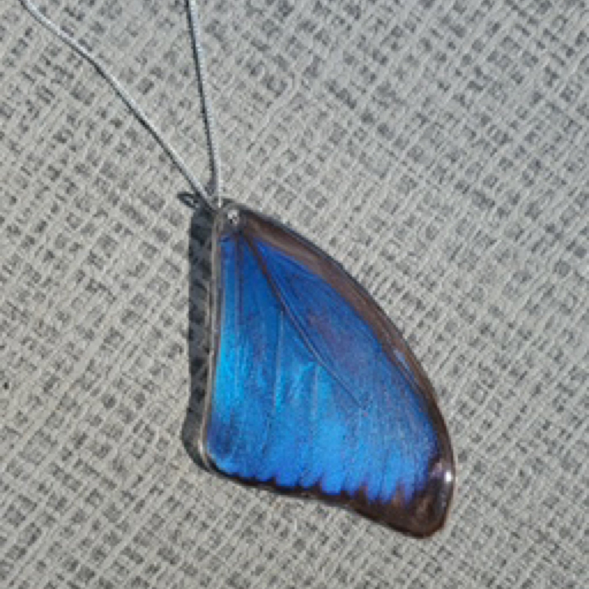 Blue Morpho Butterfly Top Wing Necklace | Pixie Painthings