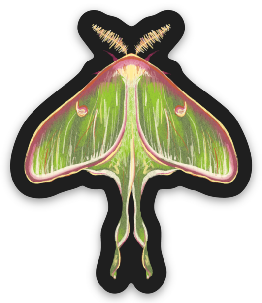 Sticker Luna Moth | Pixie Painthings